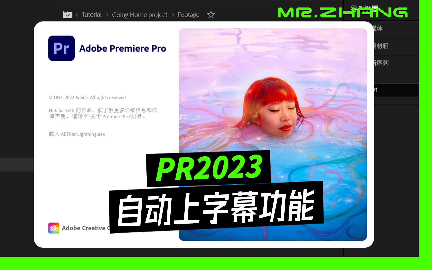 PR2023自动上字幕