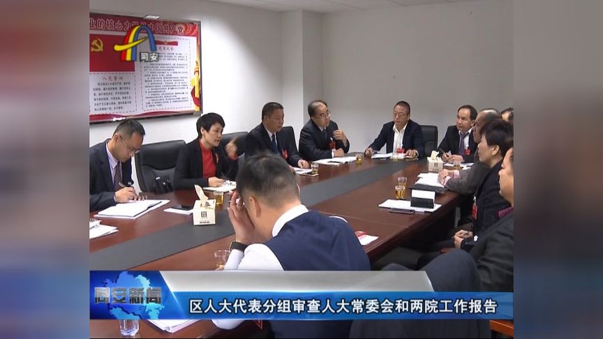 区人大代表分组审查人大常委会和两院工作报告