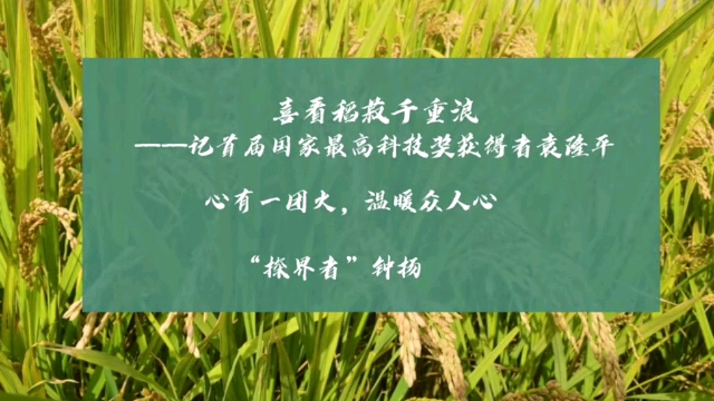 《喜看稻菽千重浪》《心有一团火,温暖众人心》《“探界者”钟扬》...