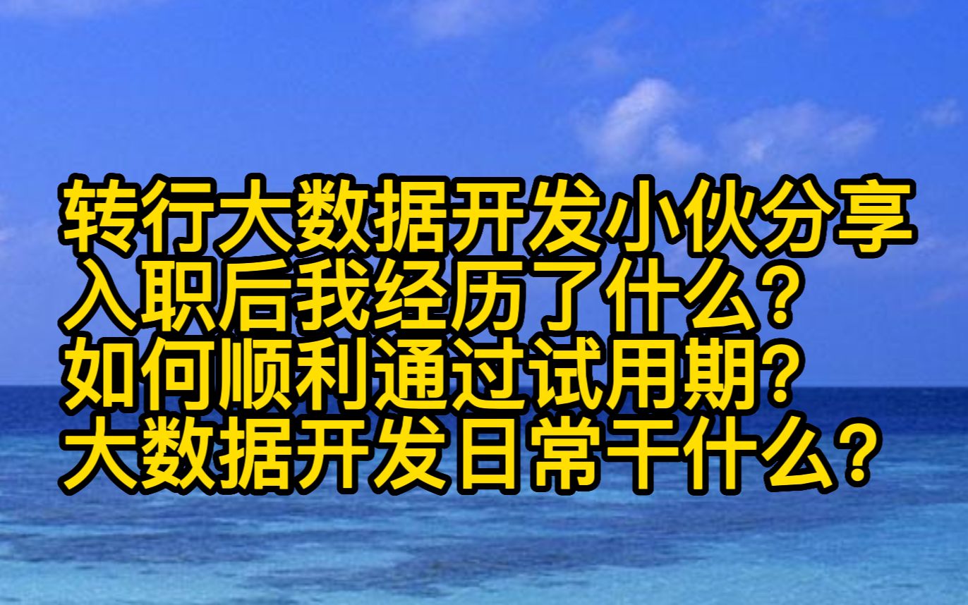 转行人分享大数据开发入职经历?大数据开发入职一个月我做了什么?大...