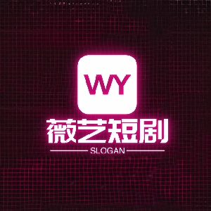 薇艺影视解说 