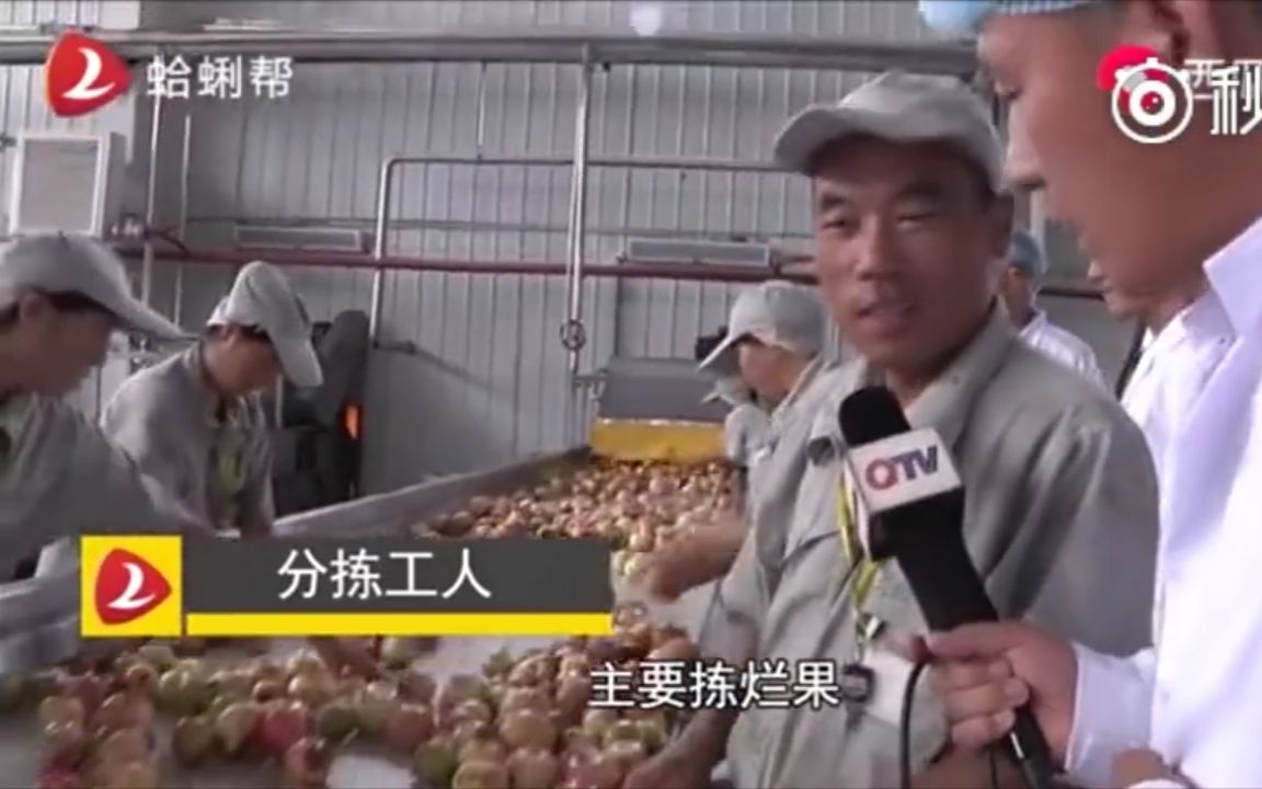 果汁厂用烂苹果做果汁,你觉得合规吗? 触目惊心!