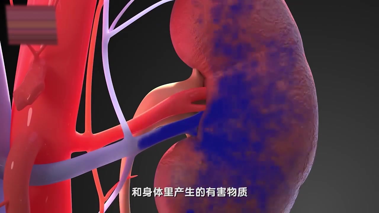 【儿童科普】吃喝拉撒那些事: 第8集 尿是怎么形成的