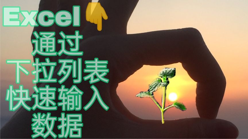 通过下拉列表快速输入数据