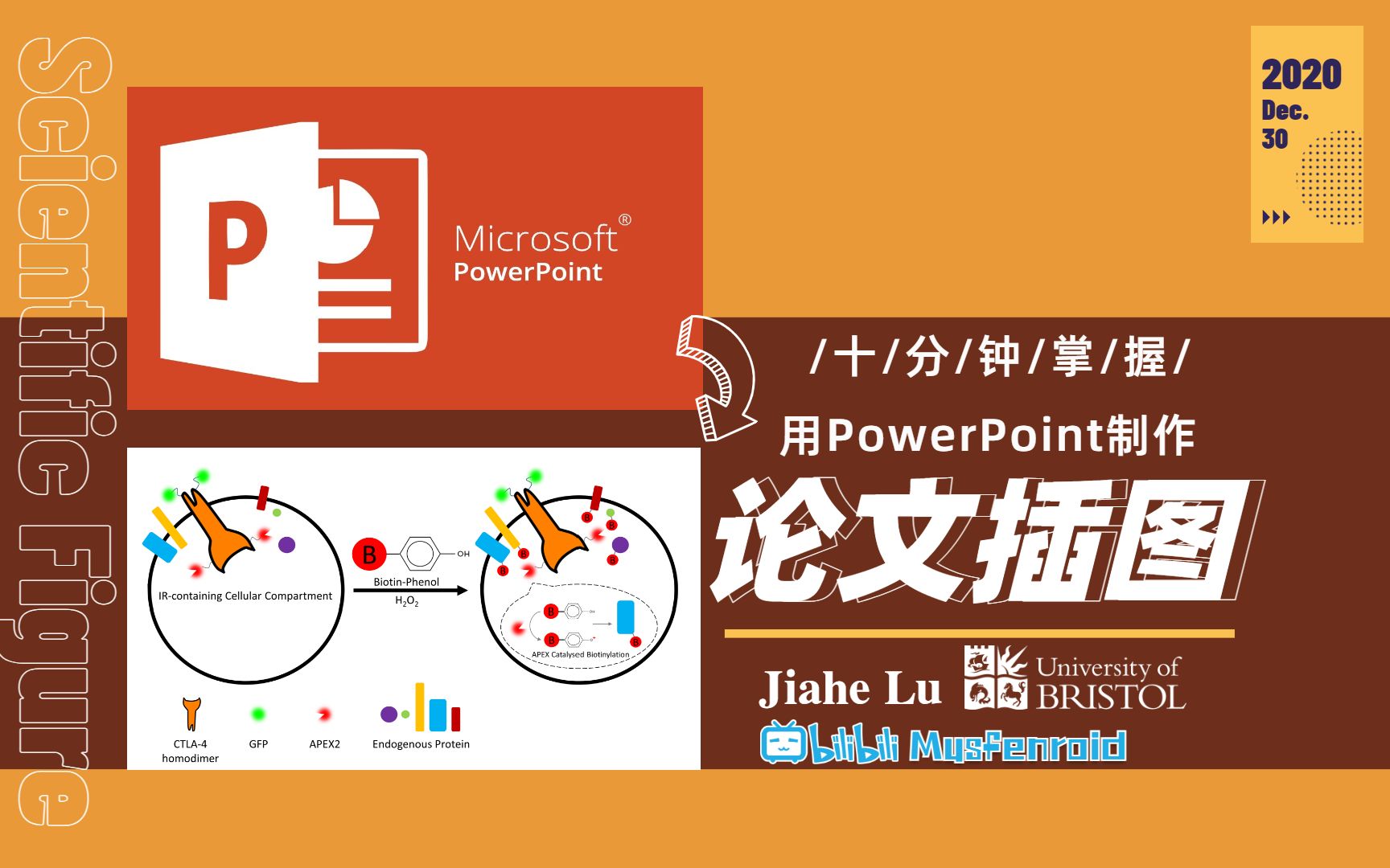 【博士干货】十分钟学会用PPT绘制科研论文插图