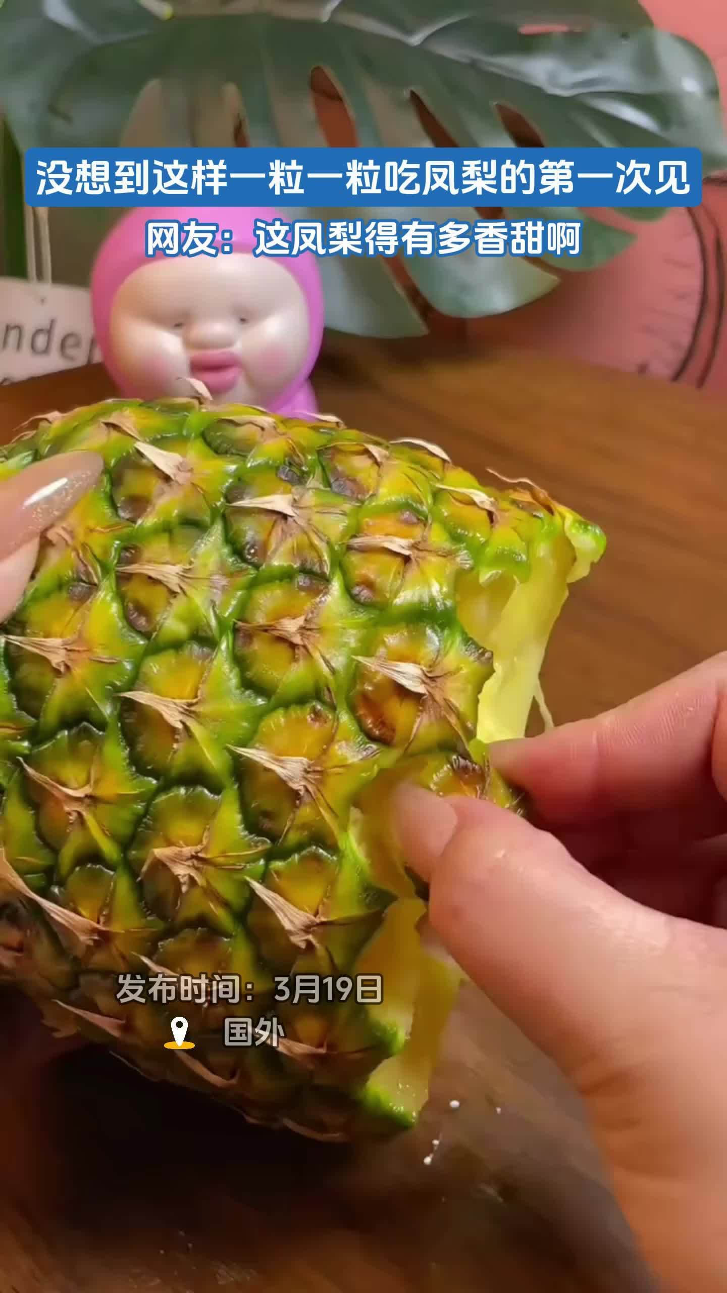 没想到这样一粒一粒吃凤梨的第一次见