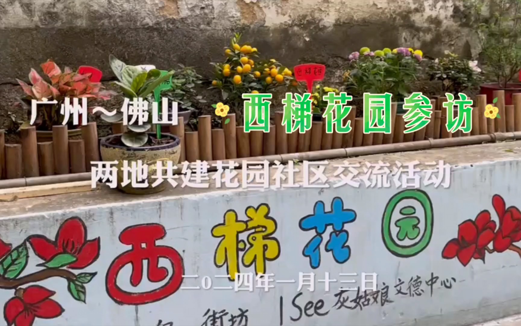 西梯社区花园参访,广州-佛山共建花园交流