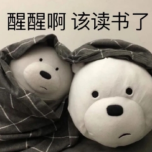 醒醒啊该学习了 