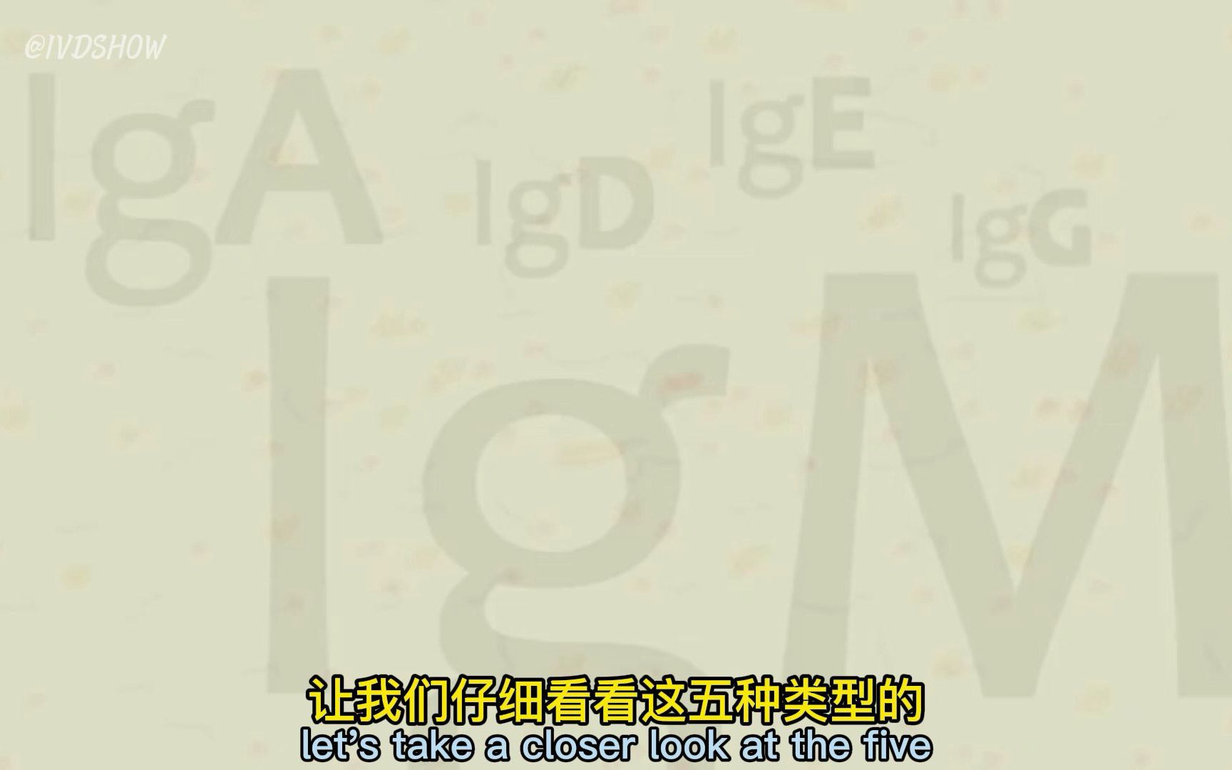 ...(IgA)、免疫球蛋白M(IgM)、免疫球蛋白D(IgD)和免疫球蛋白E(IgE)功能