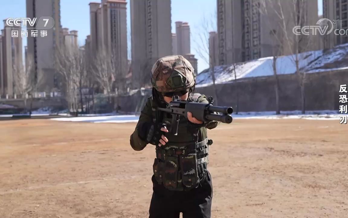 新式的半自动霰弹枪是一款非常适用于近距离作战的利器