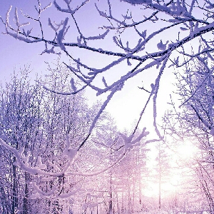 动漫世界的小白帆 