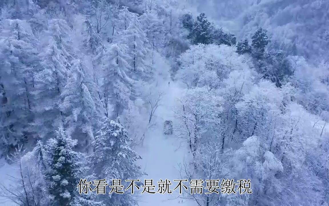 月薪1万需要缴纳多少税?聪明的财务可以一分钱不用缴纳,看完就学会