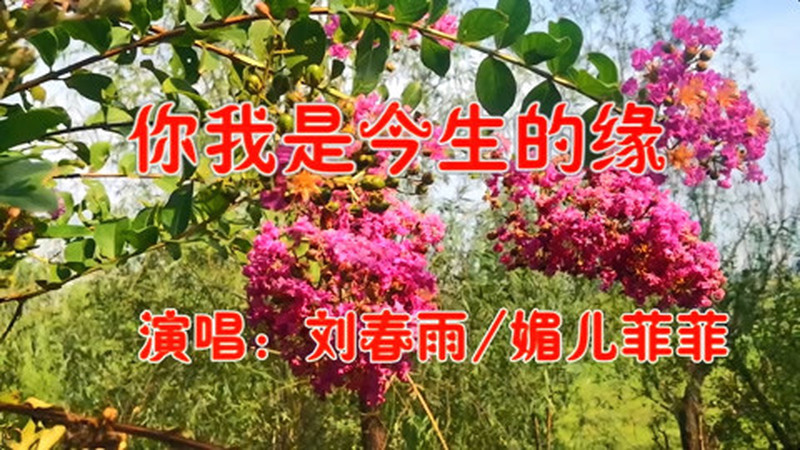 一首情歌对唱《你我是今生的缘》致红尘有缘人,送给深爱的你!