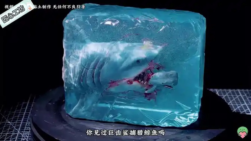 手工模型制作《巨齿鲨捕杀鲸鱼》希望大家能够喜欢