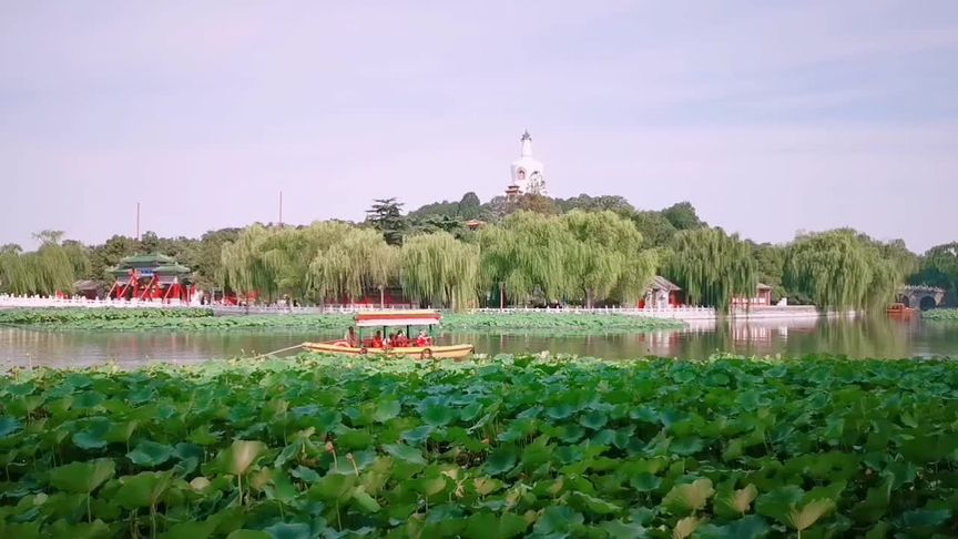 让我们荡起双桨!北海公园碧波荡漾#一首歌一座城