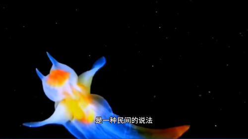 世界十大神秘动物排行榜