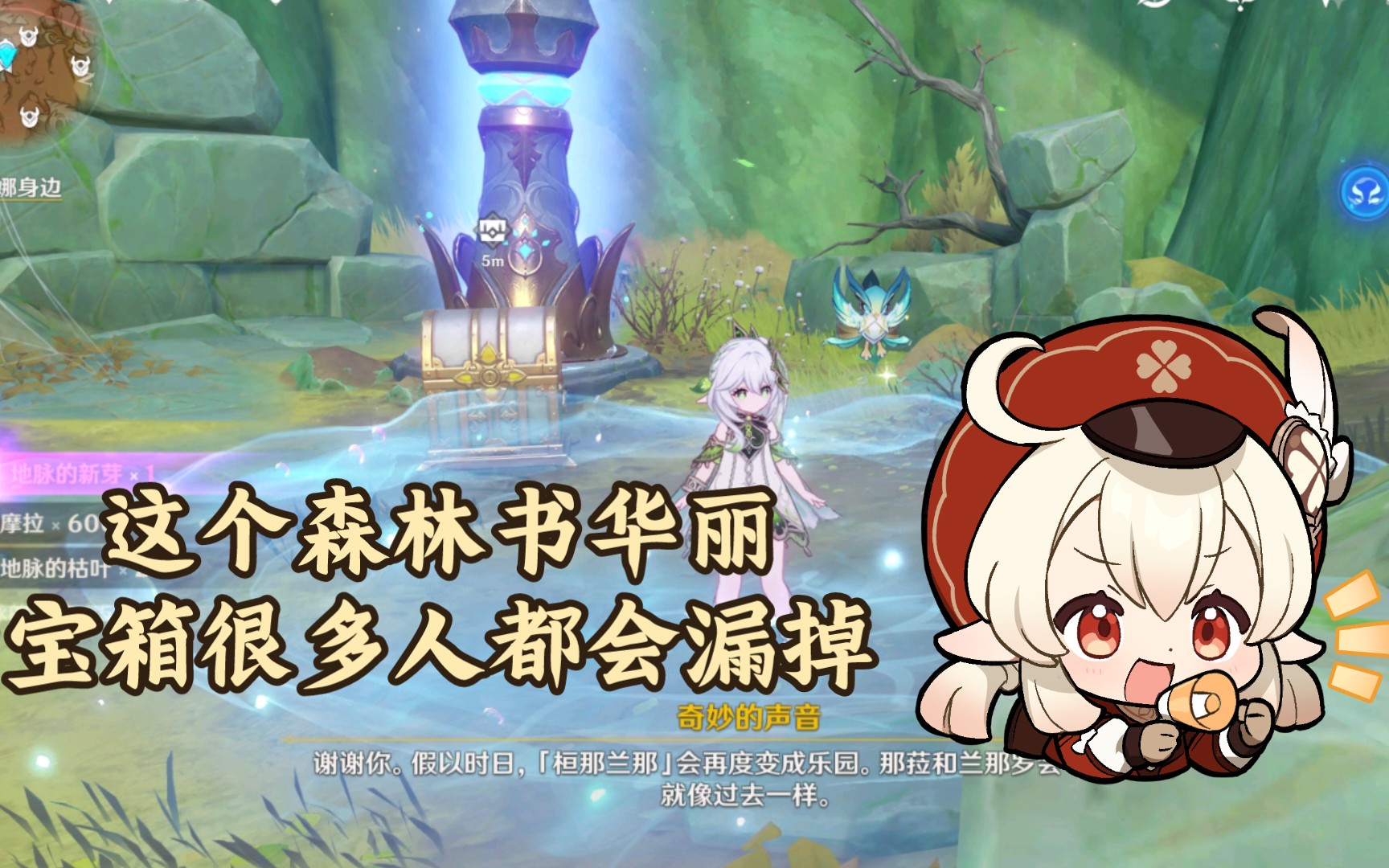 这个森林书华丽宝箱很多人都会漏掉