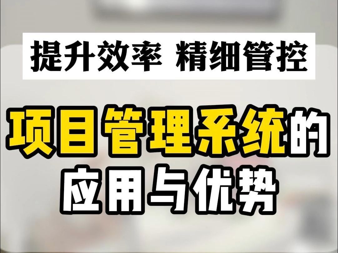 提升效率,精细管控:项目管理系统的应用与优势