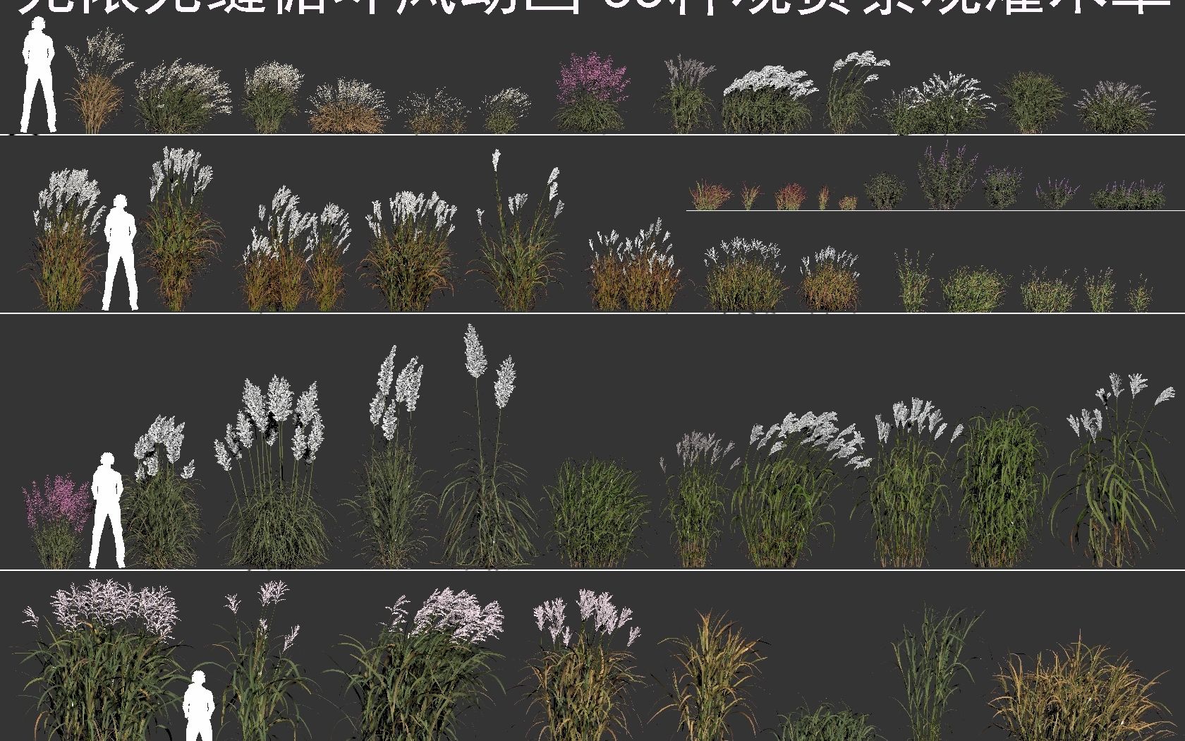 数字孪生3D裸眼动态景观观赏灌木草