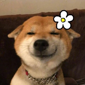 喏歾 