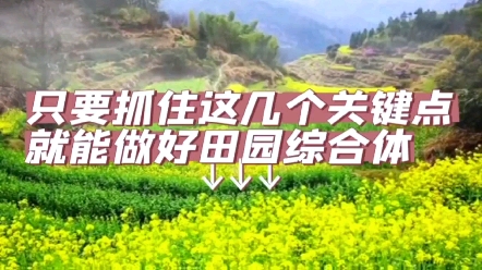 只要抓住这几个关键点,就能做好田园综合体#田园综合体#乡村振兴#...
