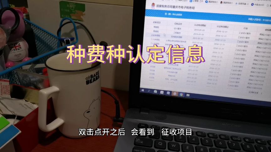 自己报税还是代理记账,看燕子带你看完税费种认定信息后给的建议