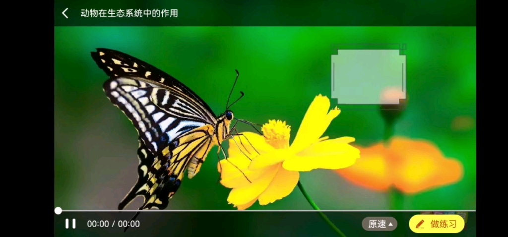 动物在生态系统中的作用