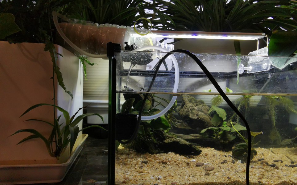 用塑料瓶做过滤器,还能除油膜