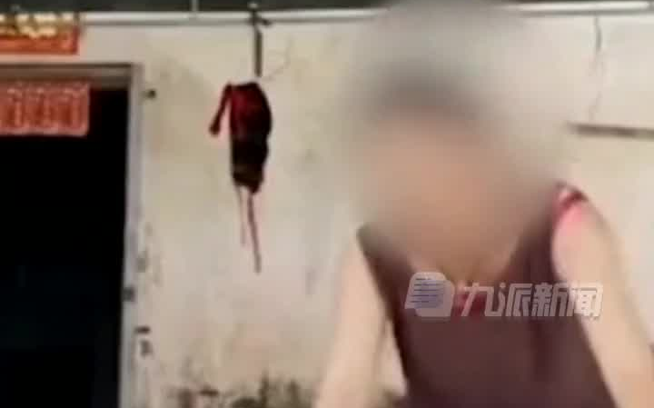 广东佛山,一女子用开水虐猫 猫咪发出阵阵惨叫!