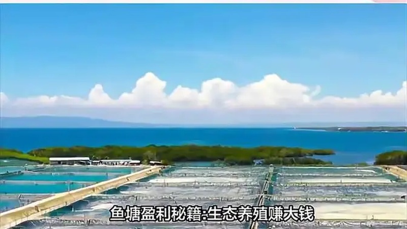 鱼塘盈利秘籍生态养殖赚大钱