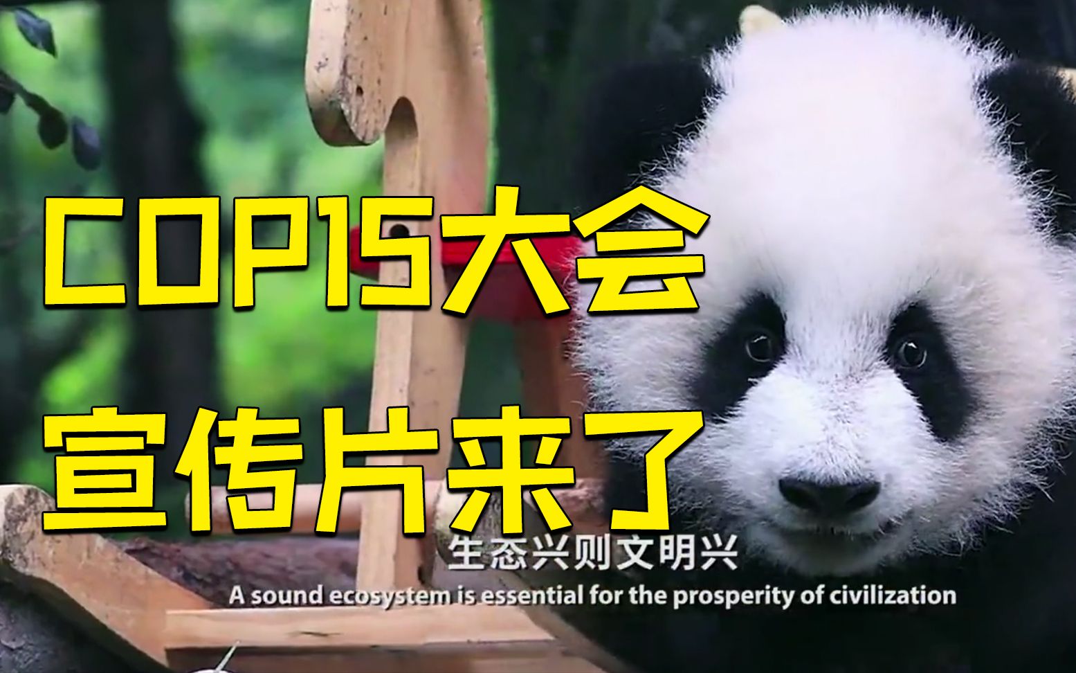 每一帧都美!昆明生物多样性大会主题宣传片