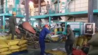编织袋全自动上袋包装机视频及生产厂家 含全自动折边缝包机及标签...