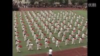 小学六年级毕业生的毕业演出——史上最牛儿童太极