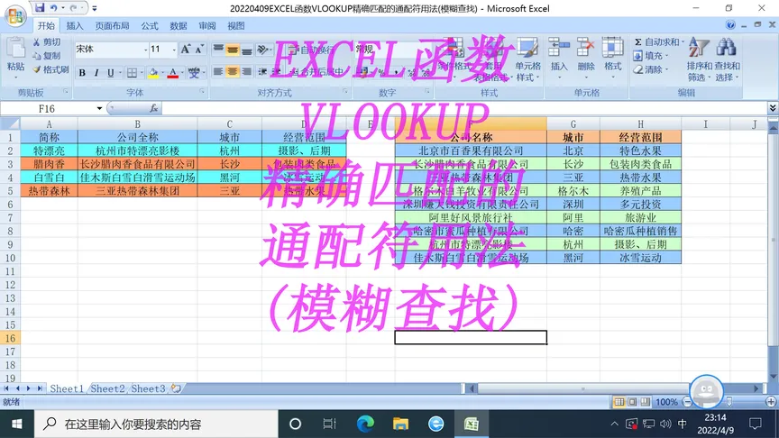 EXCEL中VLOOKUP函数精确匹配的通配符用法(模糊查找)