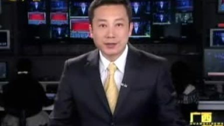 自治区政协十届三次会议举行第二次全体会议