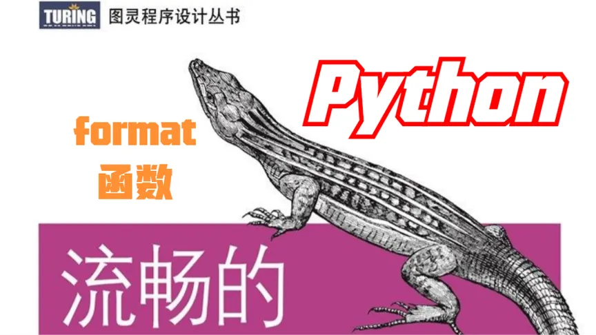 视频读书系列 《流畅的python》9.5 为啥 format 比 print 强大?