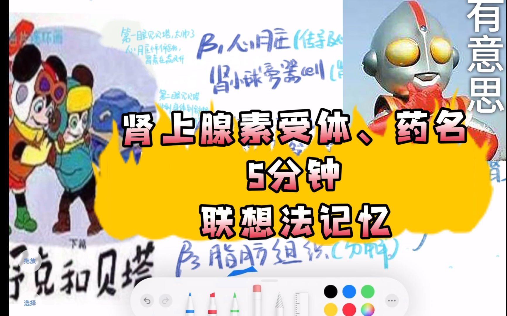【药理学】速记!肾上腺素受体 激动药 拮抗药→作用