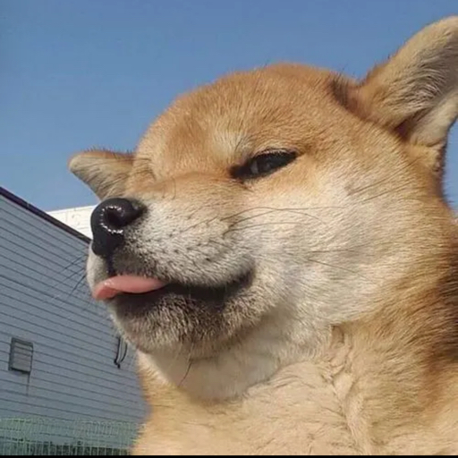 盐梅之寄文案馆 