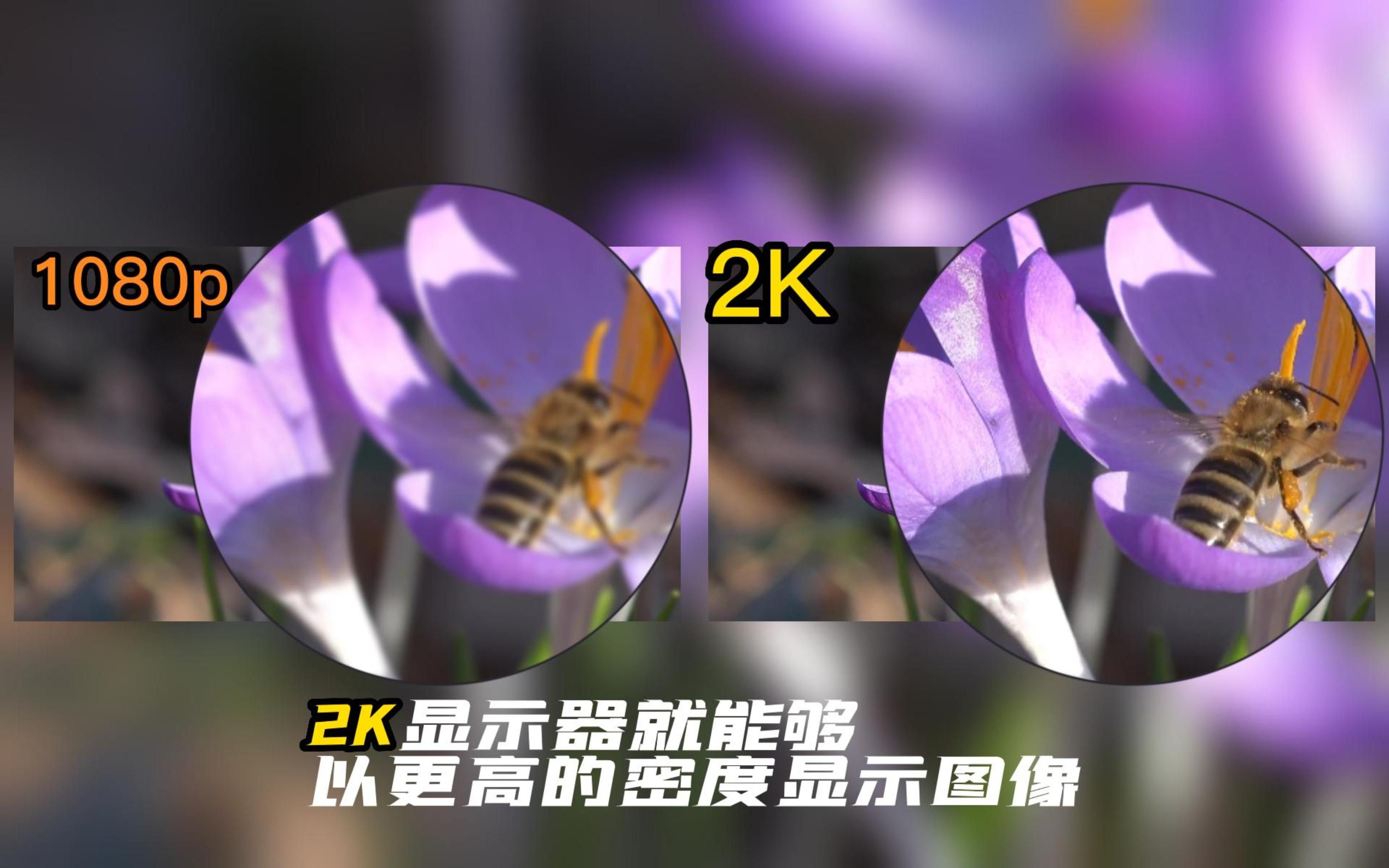 2k分辨率与1080p有多大区别?