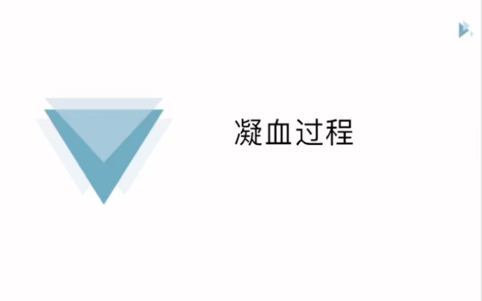 凝血过程 — 内 外源性凝血过程