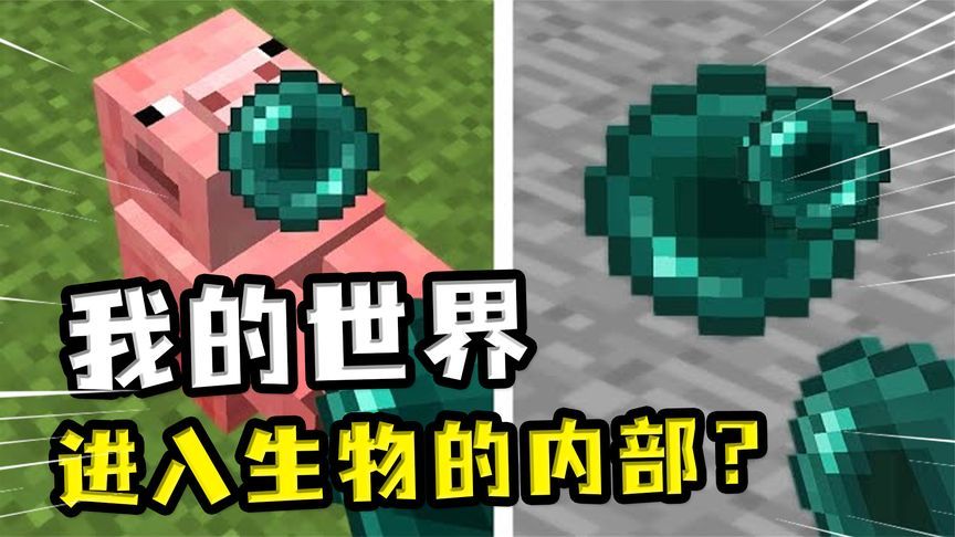 我的世界:进入生物的内部,铁傀儡里面是命令方块,小部分是泥土