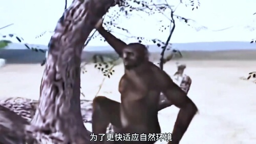 森林进入陆地,使用武器,布置陷阱,学会用火,太难了!