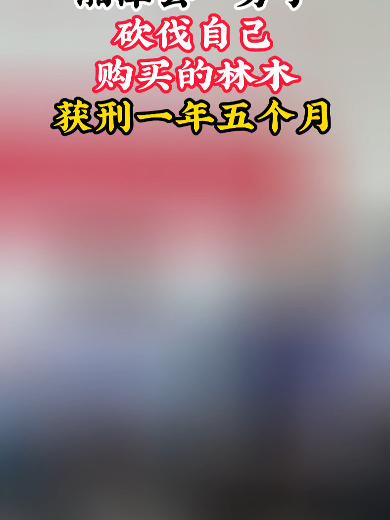 一男子砍伐自己购买的林木,获刑