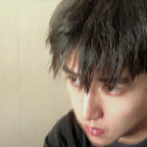 一本正经的蘑菇菌 
