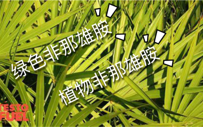 植物非那雄胺(锯棕榈)治疗脱发。靠谱吗?