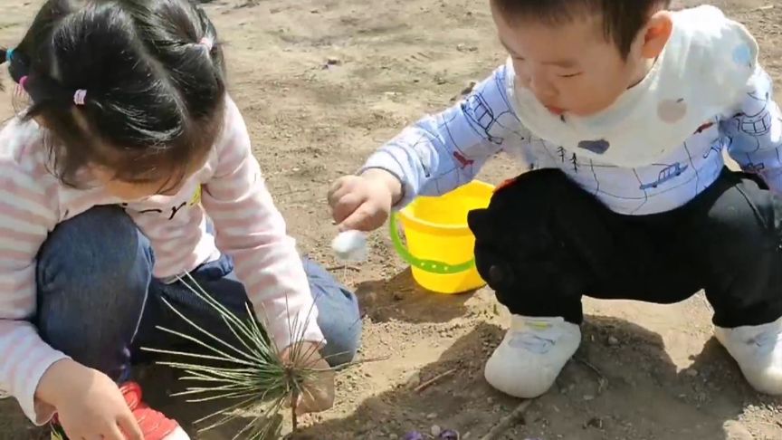 从小就有植树造林的意识