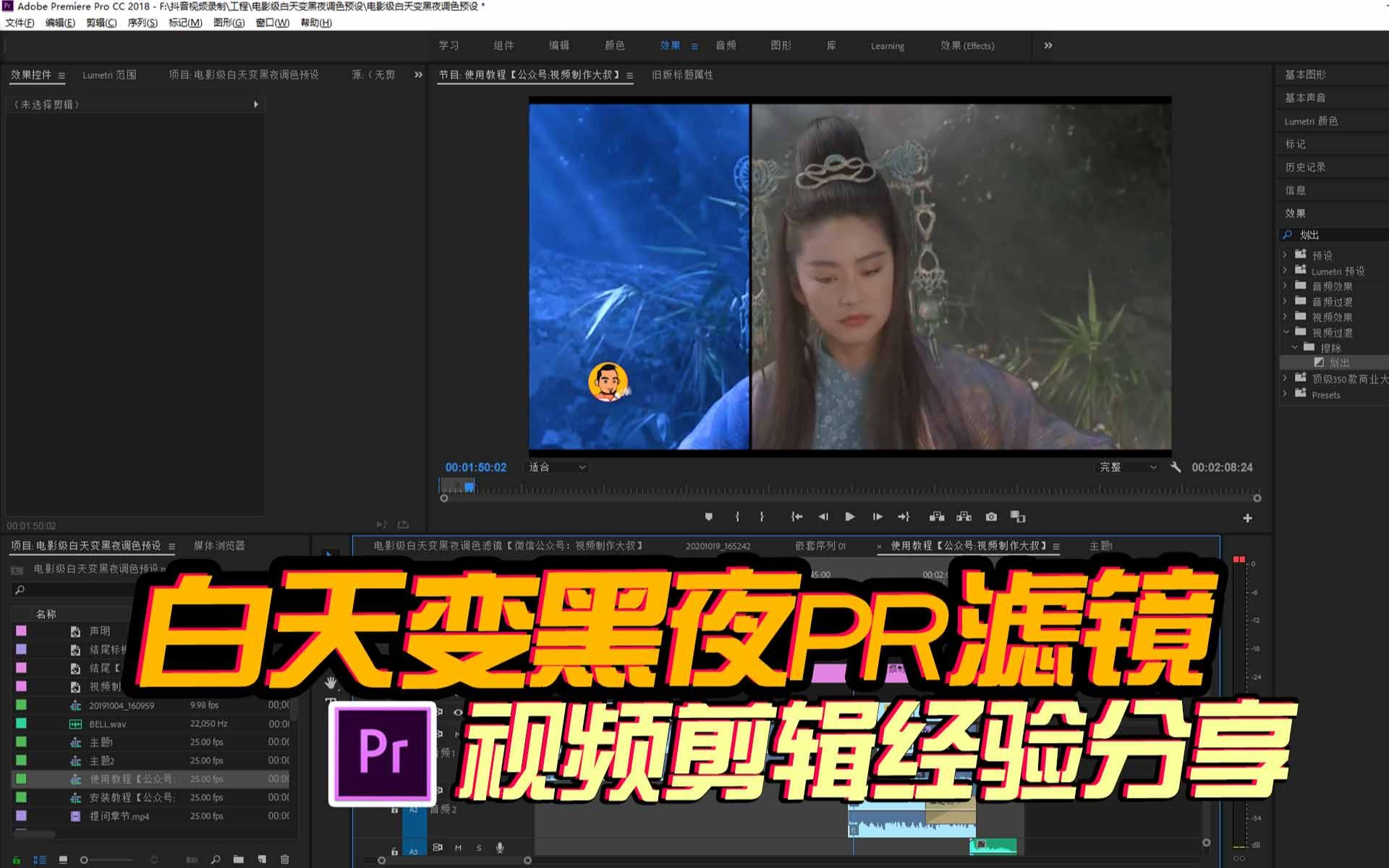 电影级白天变黑夜PR调色滤镜教程,剪辑小白秒速出效果!