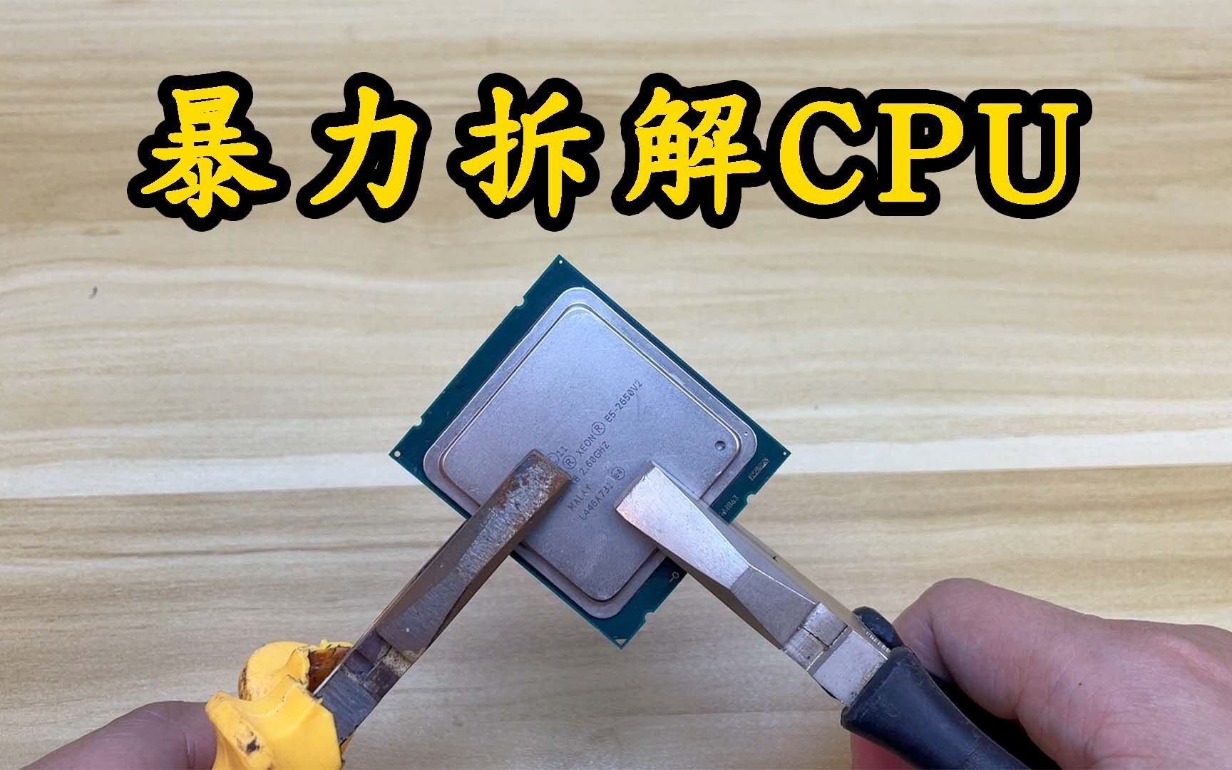 暴力拆解CPU,服务器CPU和普通CPU有什么区别?