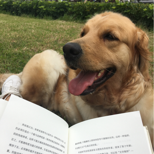 王大白爱读书 