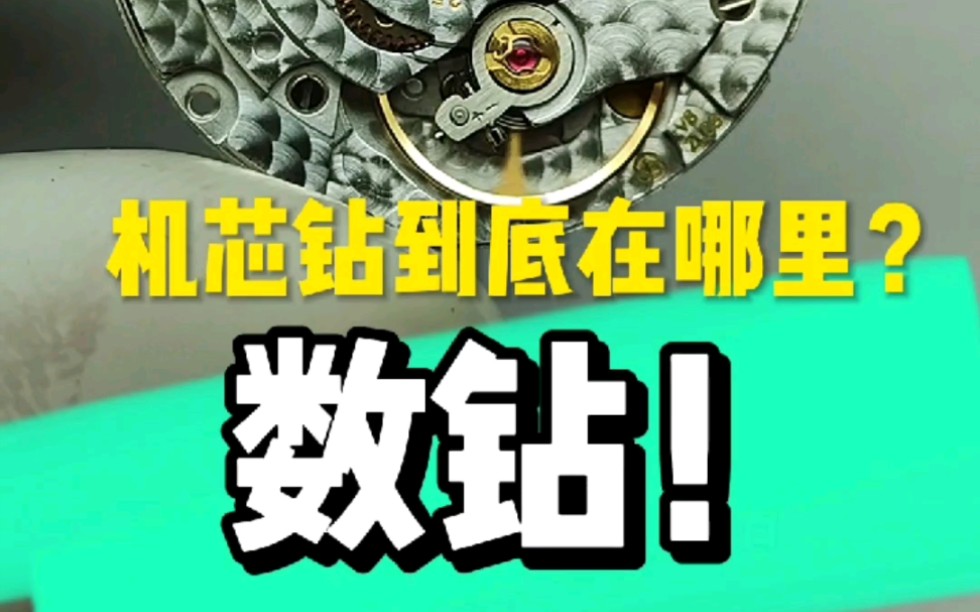 手表机芯的钻到底在哪里?今天拔了开了数一数